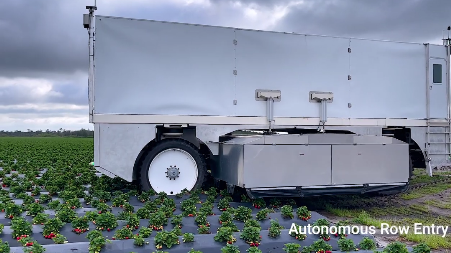 Harvest Croo B8: Cosecha Automatizada de Frutillas 2025