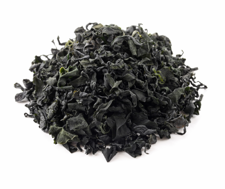 Extractos de Algas Marinas como Bioestimulantes - Grupo Fragaria